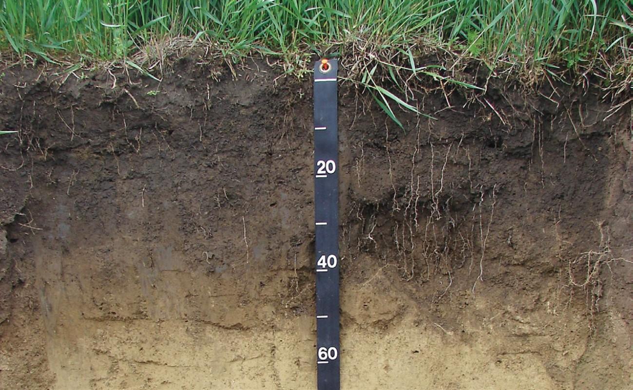 Soil depth matters in carbon accounting | Agrecalc