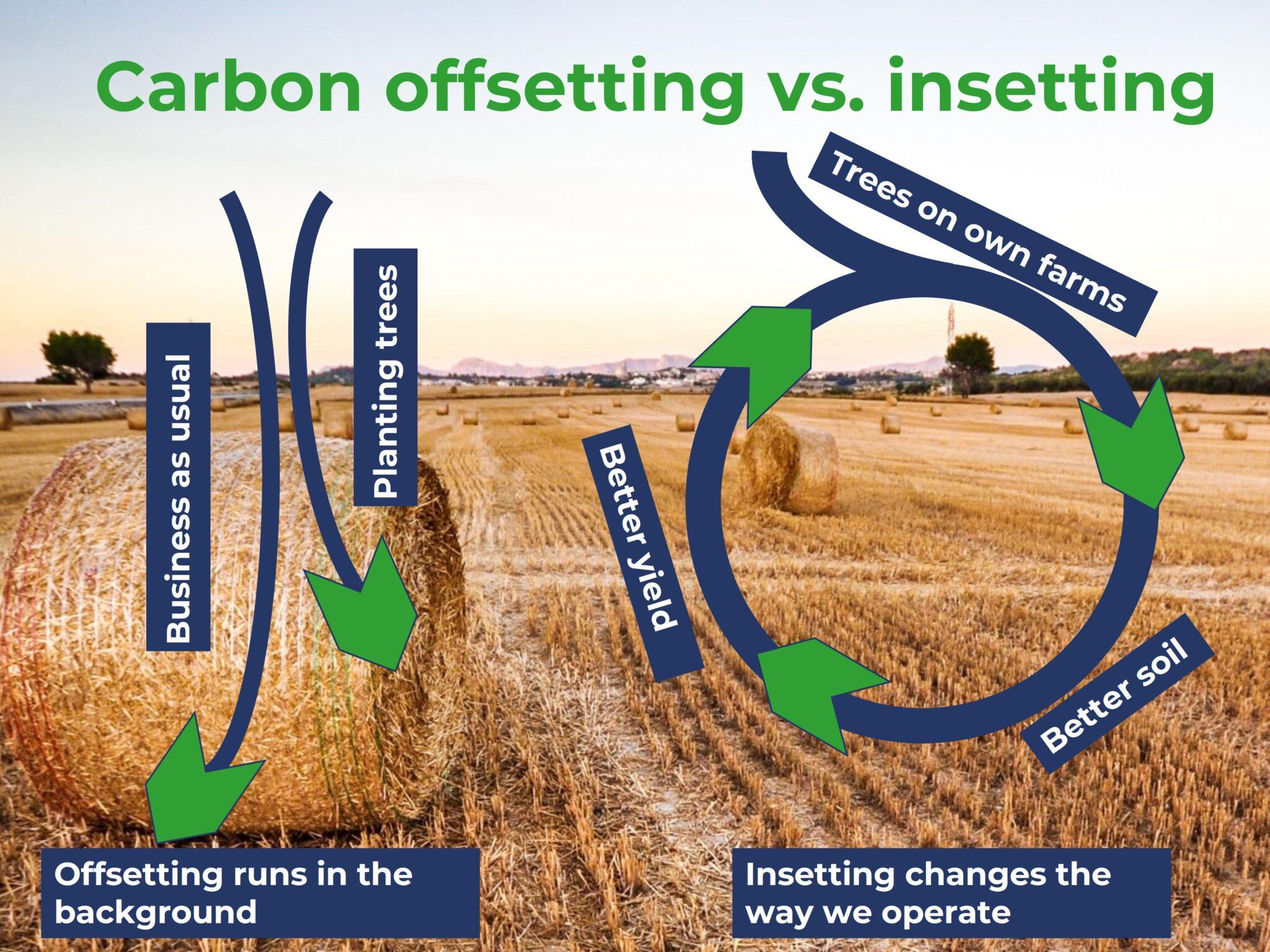 Carbon insetting: A signpost on the road to sustainable agriculture | Agrecalc