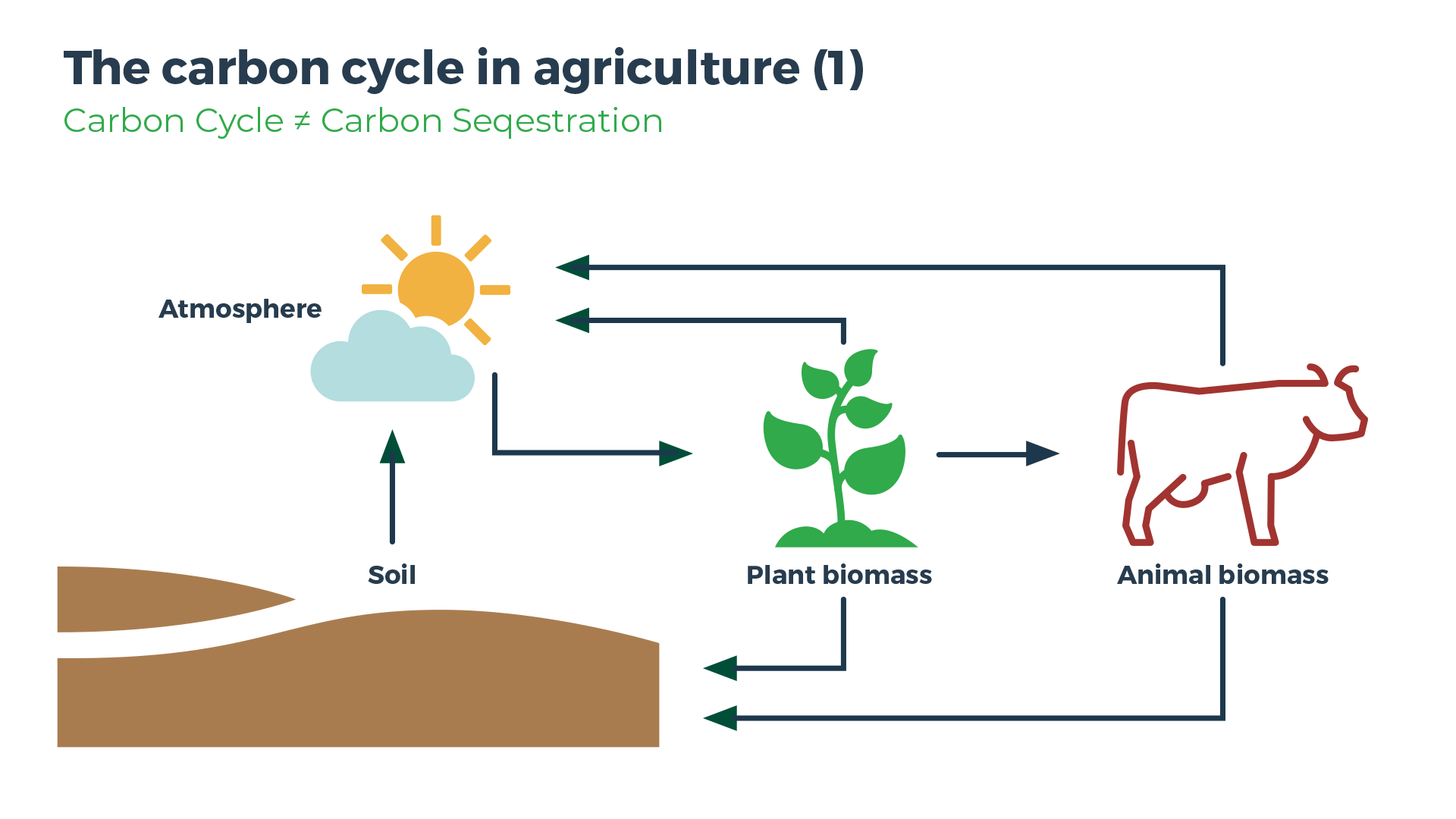 Agrecalc Soil Carbon Guide | Agrecalc