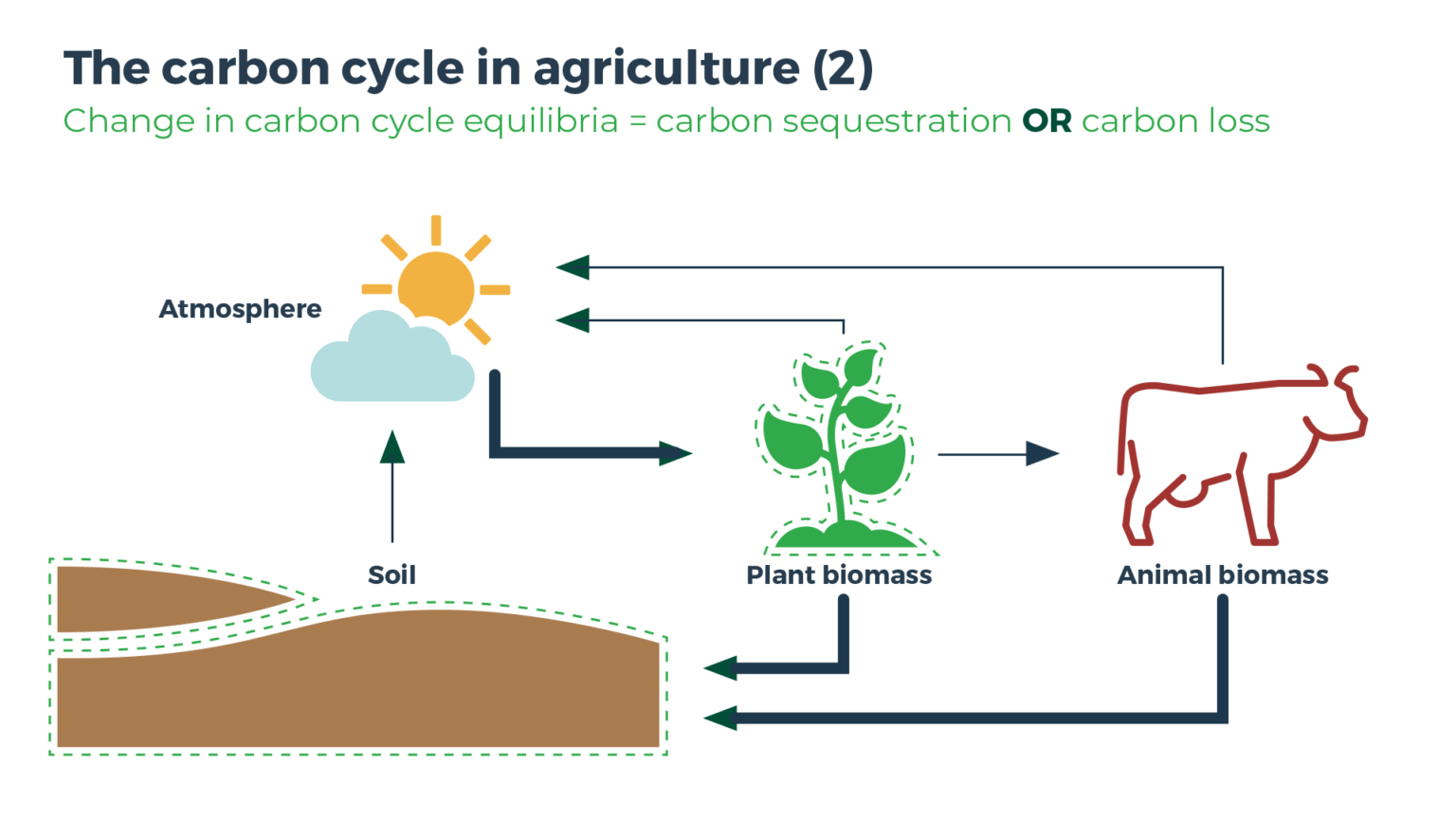 Agrecalc Soil Carbon Guide | Agrecalc