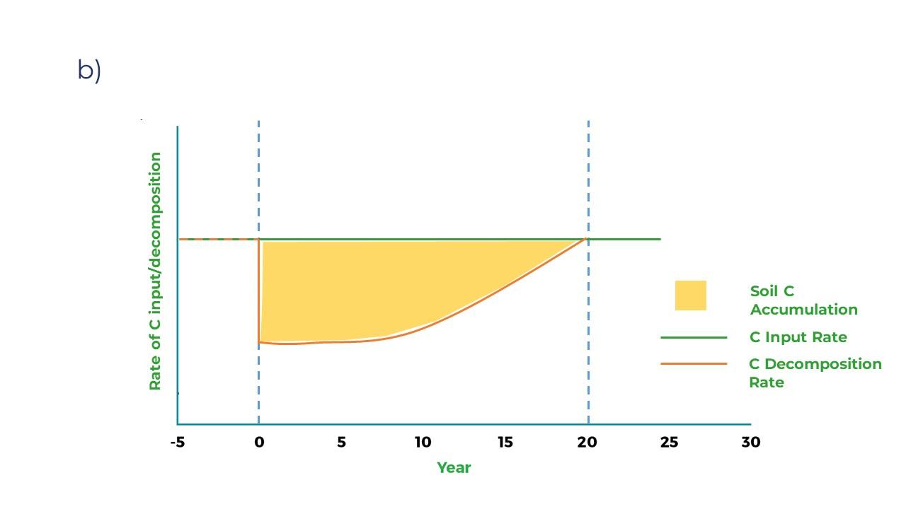 Understanding soil carbon - measure, manage, improve | Agrecalc